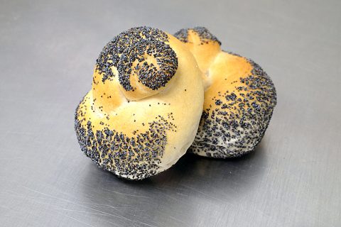 German Knot Roll – Poppy Seeds | Darvell and Sons Bakery